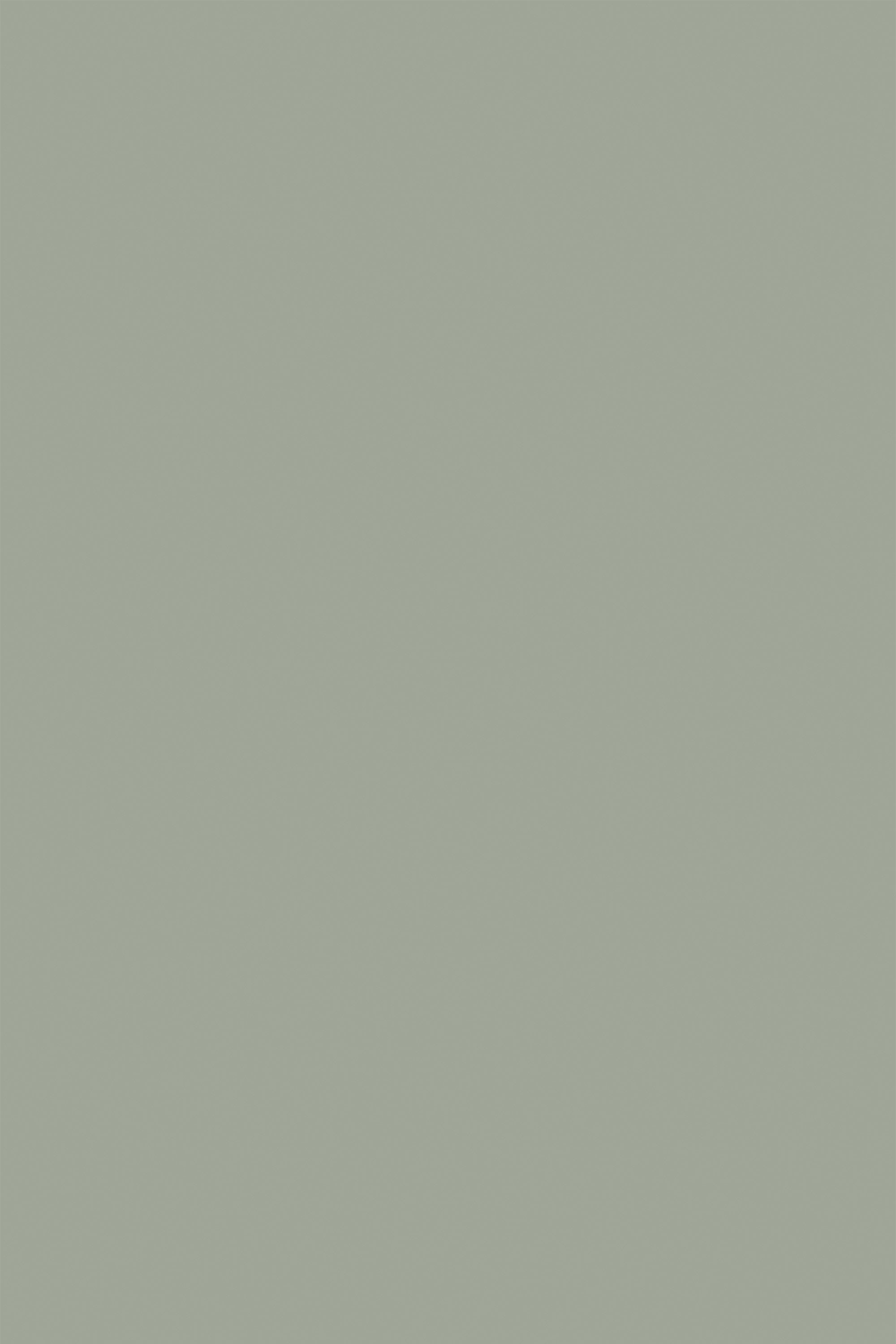 solid light green wallpaper