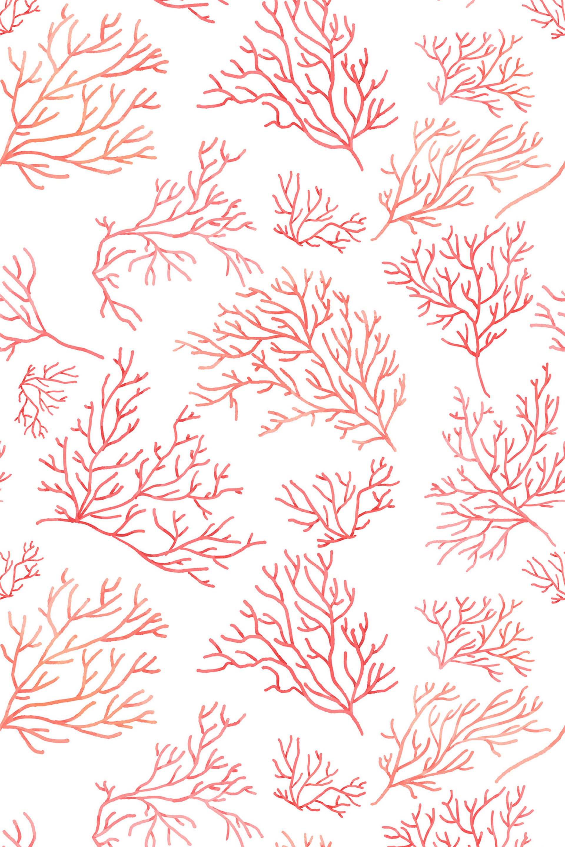 coral pattern wallpaper