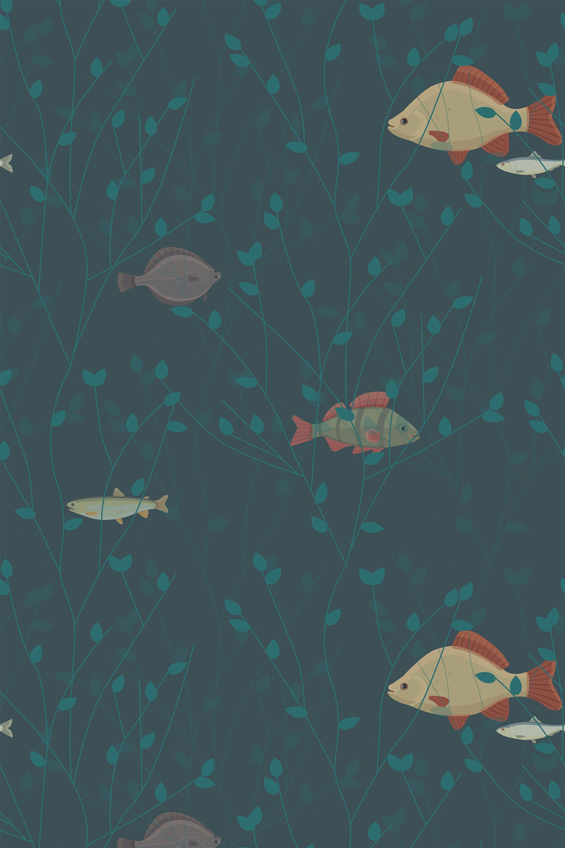wallpaper direct fish